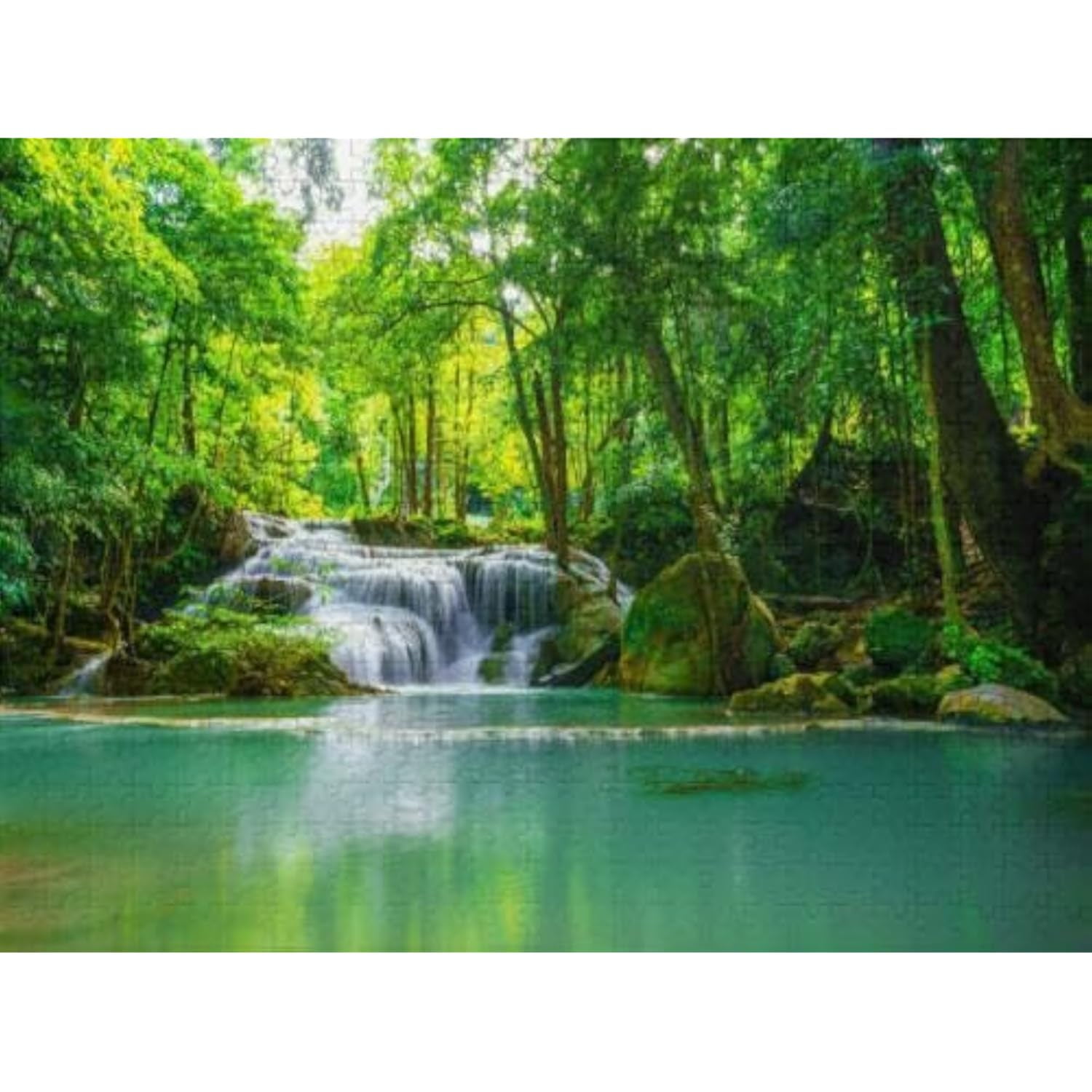 Jigsaw Wooden puzzle 1000 pieces Waterfalls and Fish Swim The Emerald ...