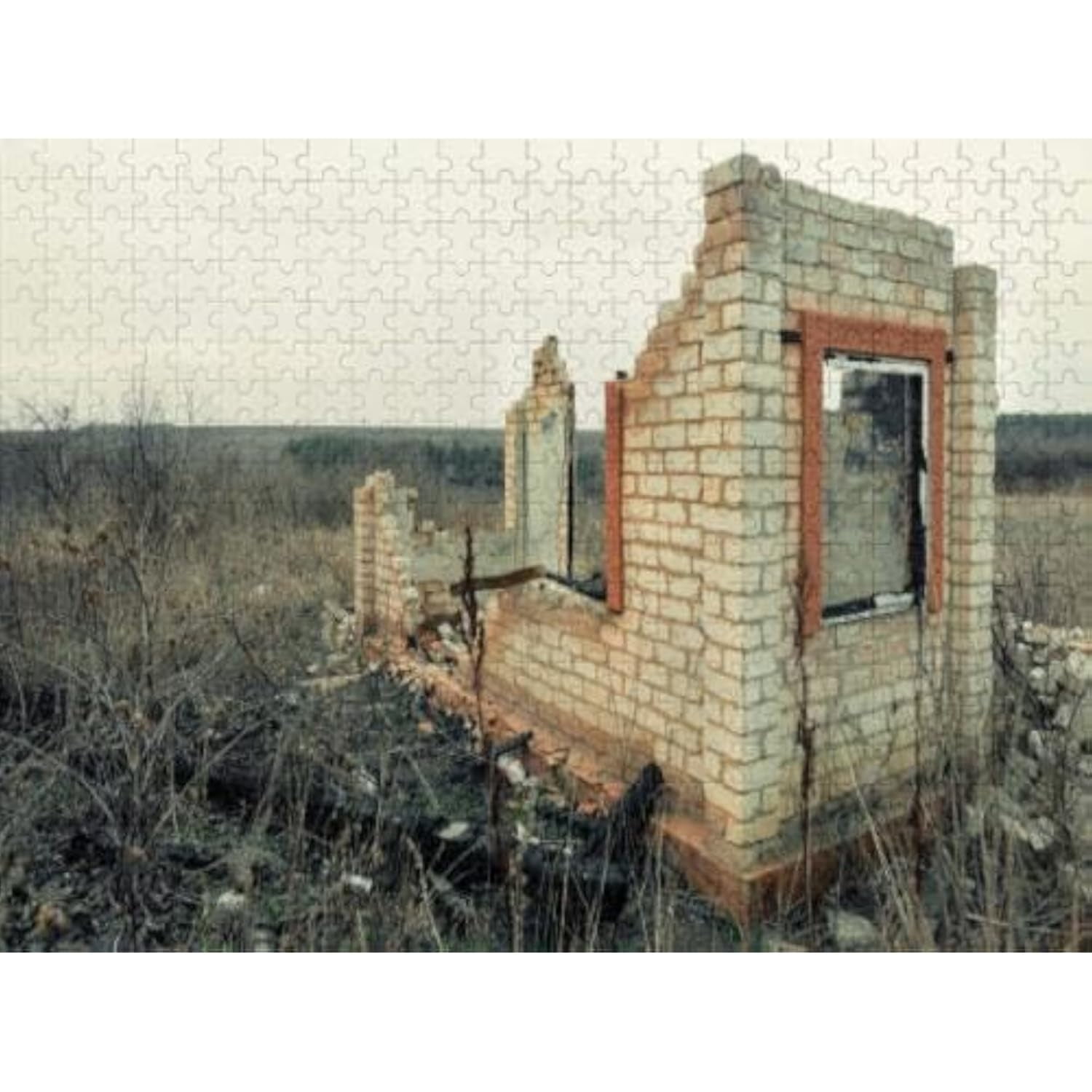 Jigsaw Wooden puzzle 300 pieces Destroyed and Burnt Brick Structure A ...