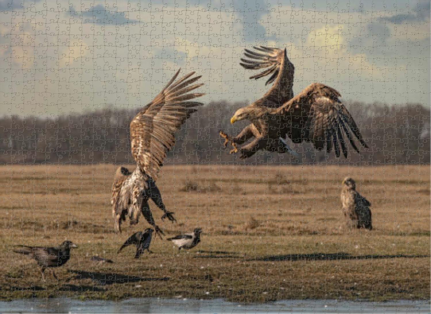 Jigsaw Wooden puzzle 300 pieces Fighting Sea Puzzle for Adults Jigsaw ...