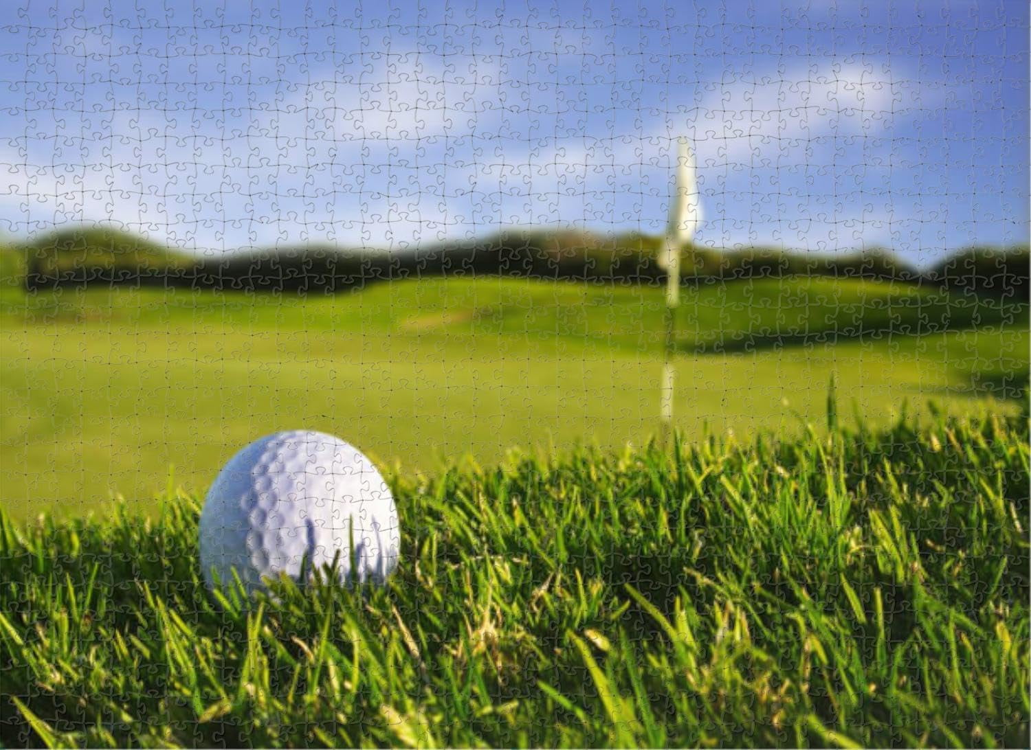 Jigsaw Wooden puzzle 300 pieces Golf Ball Golf Course Grass Flag Golf ...