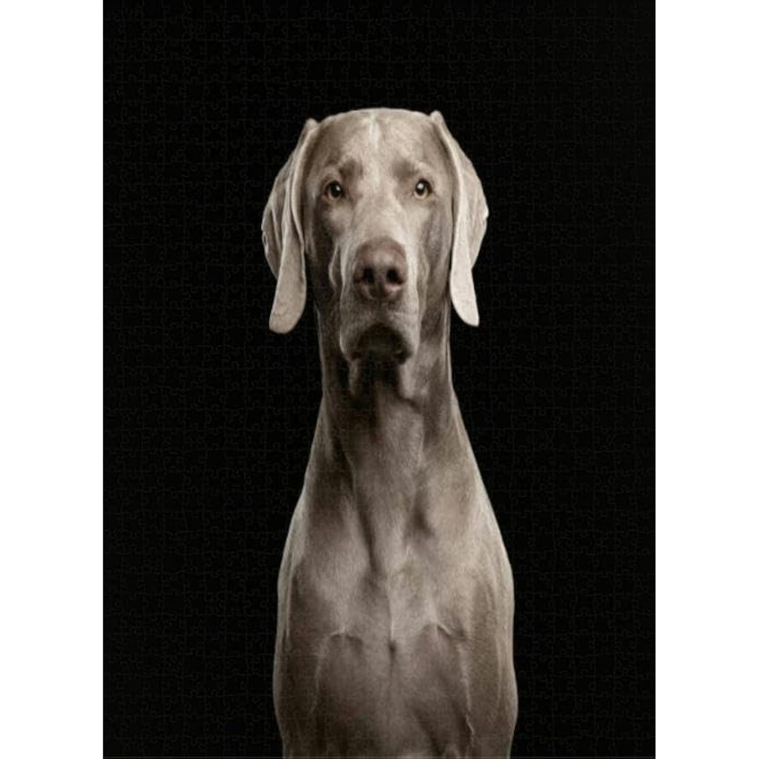 Jigsaw Wooden puzzle 500 pieces Puzzle Fun for Adults Close up Portrait ...