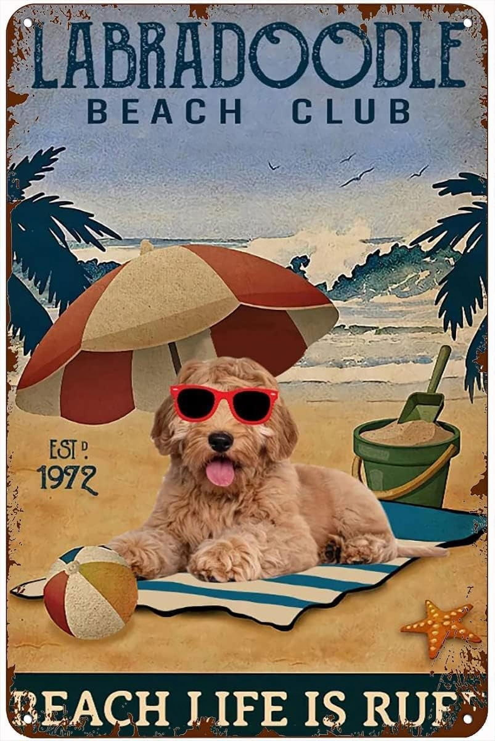 Jigsaw Wooden puzzle 500 pieces for Women Love Dogs Labradoodle Beach ...