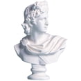 Jiibva David Resin Figure Greek Mythology Plaster Statue Portraits Bust ...
