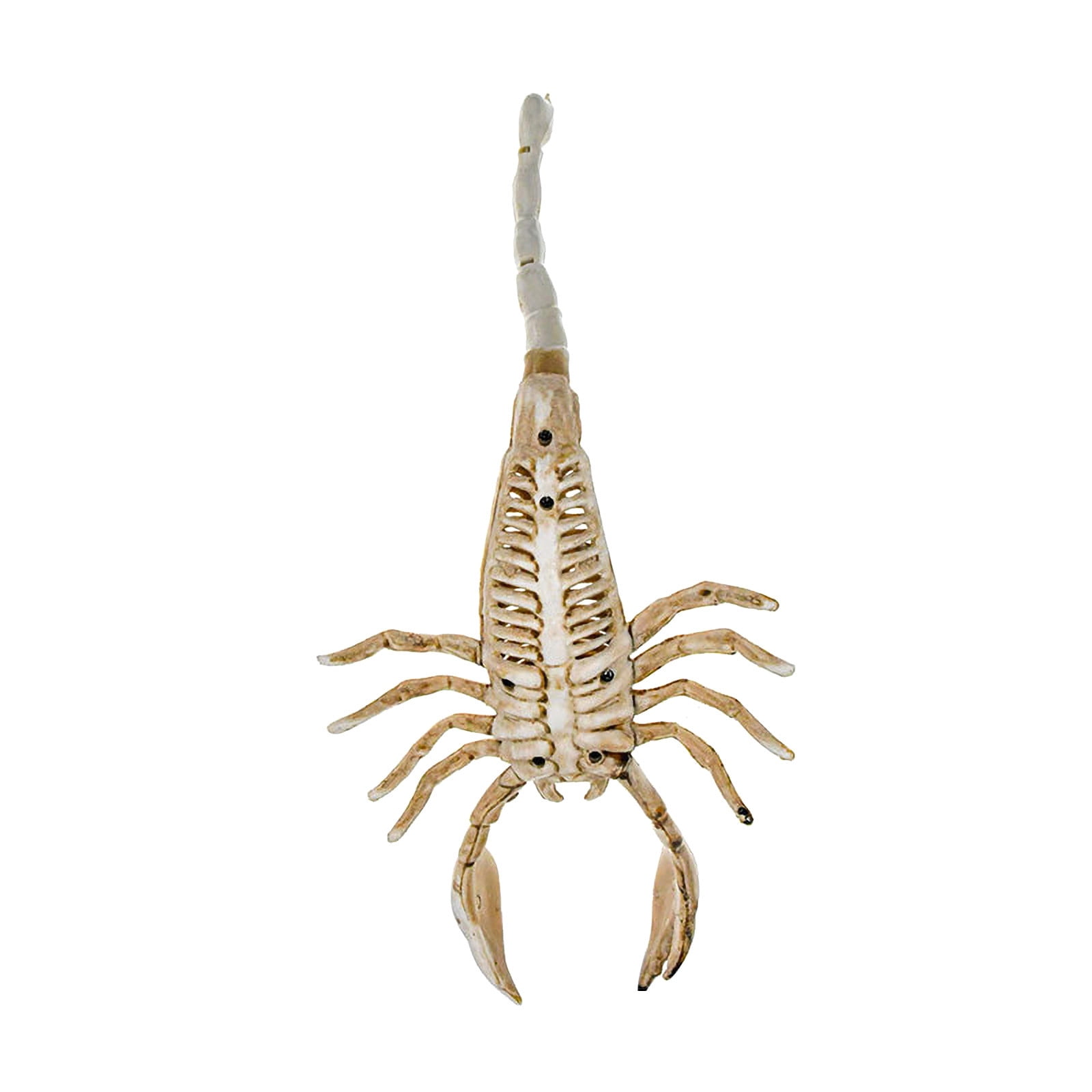Jikolililili Halloween Animal Skeleton Props Skeleton Scorpion ...