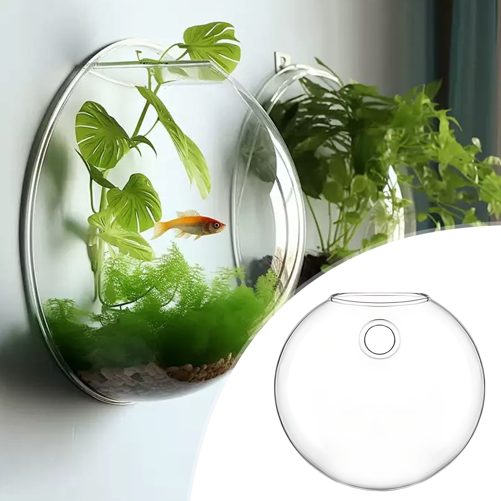 JilgTeok 2 Packs Wall Mounted Glass Wall Planter Hanging Glass Tubes ...