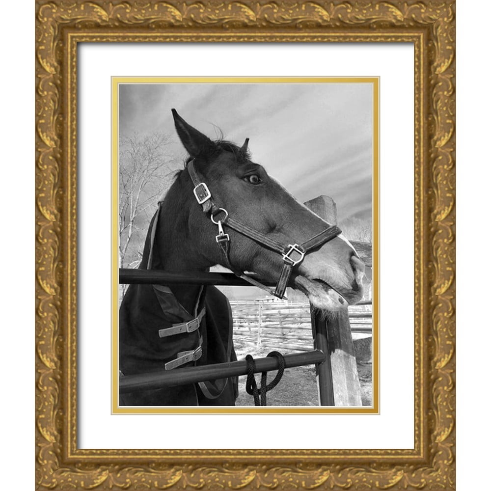 Jill, Susan 15x18 Gold Ornate Wood Framed with Double Matting Museum ...