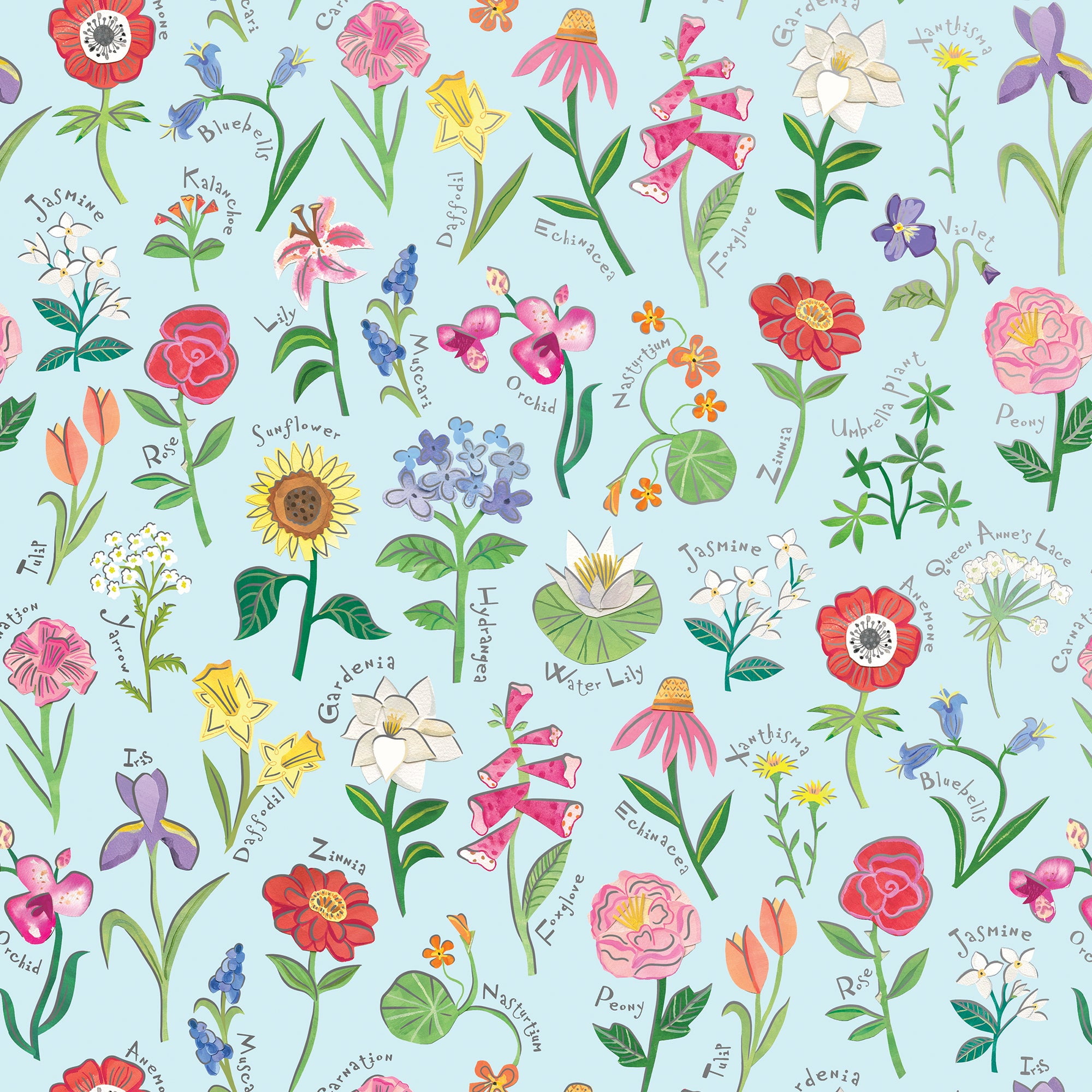 Jillson & Roberts Floral Gift Wrap, Gardan Botanicals, Full Ream 833 ...