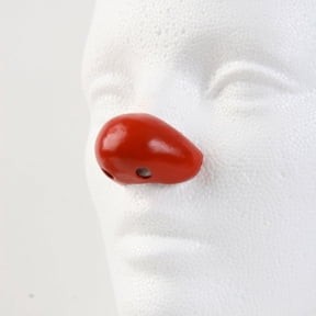 Pig Noses