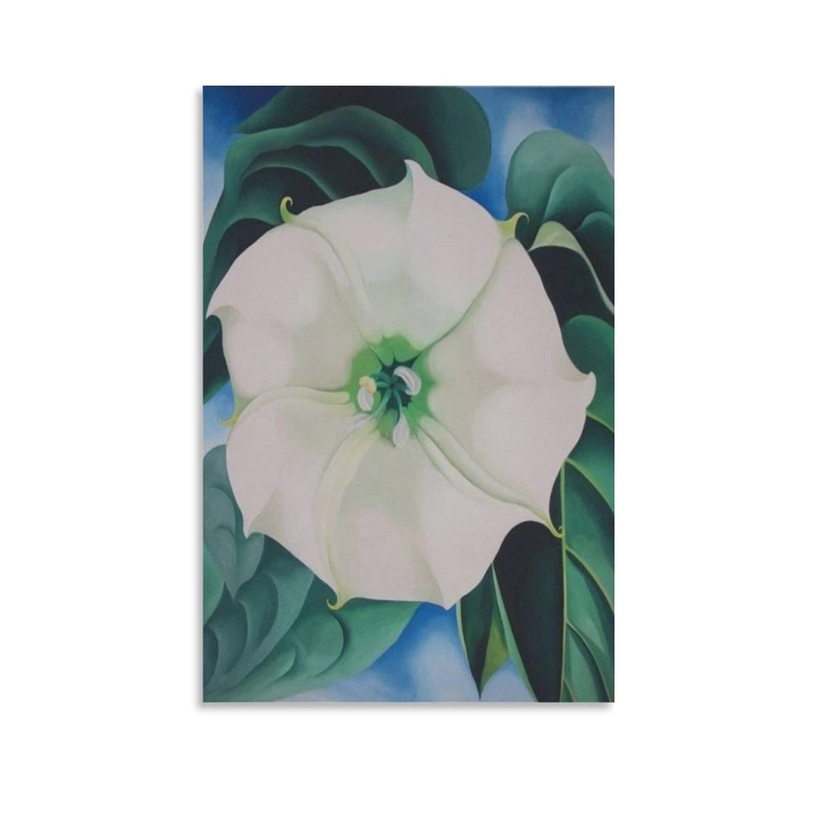 Jimson Weed White Flower No. 1 Canvas Art Poster and Wall Art Picture ...