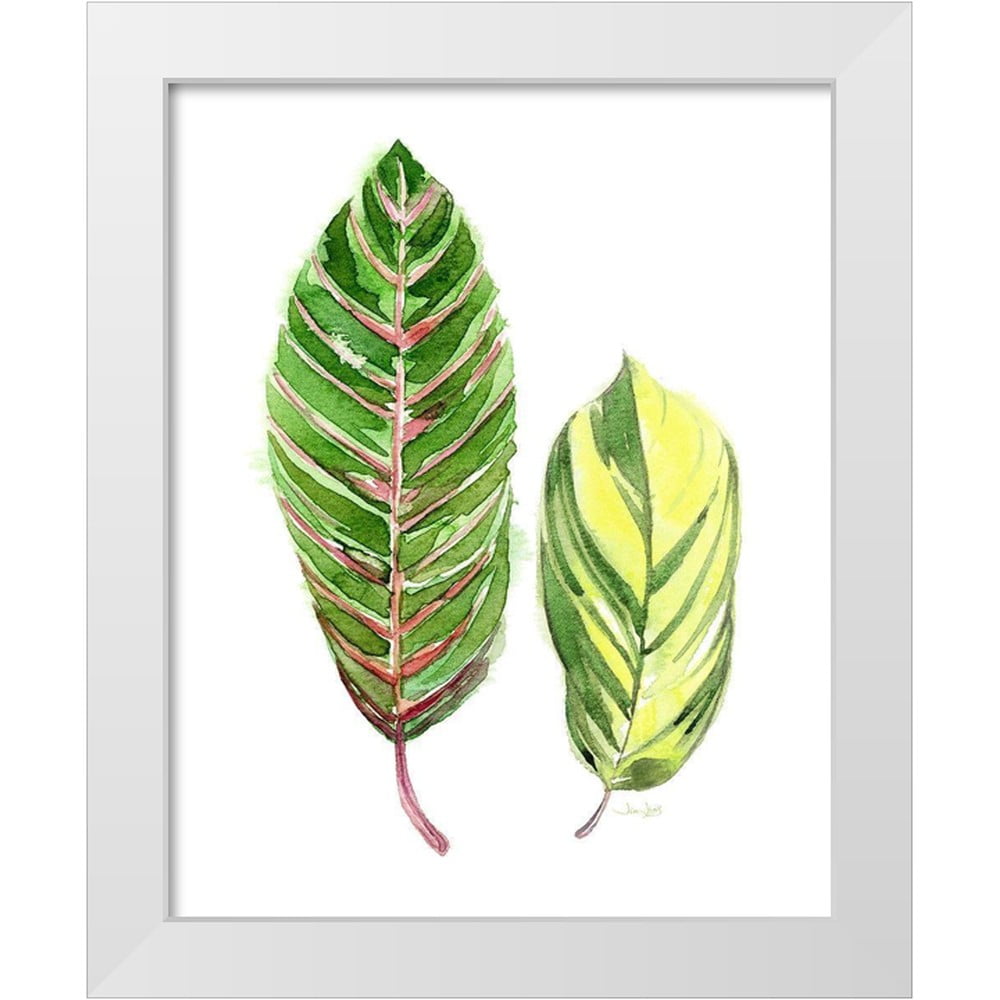 Jing, Jin 15x18 White Modern Wood Framed Museum Art Print Titled - Tropical Variegated Leaf ...