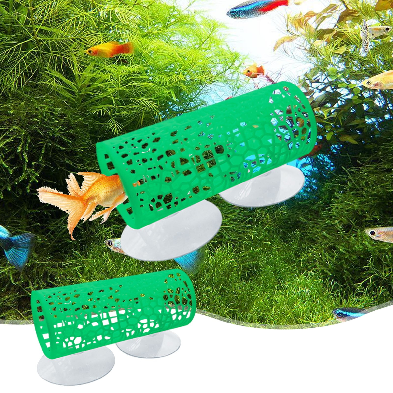 JingChun Betta fish toys,Betta tunnel,Small hole Hollow Betta Fish cave ...