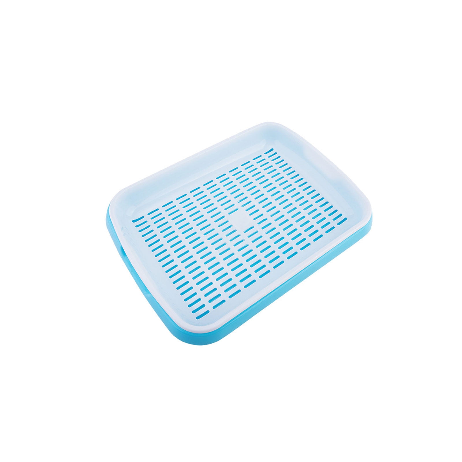 JingChun Green Seed Sprouter Trays- Soil-Free Cultivation Germination ...