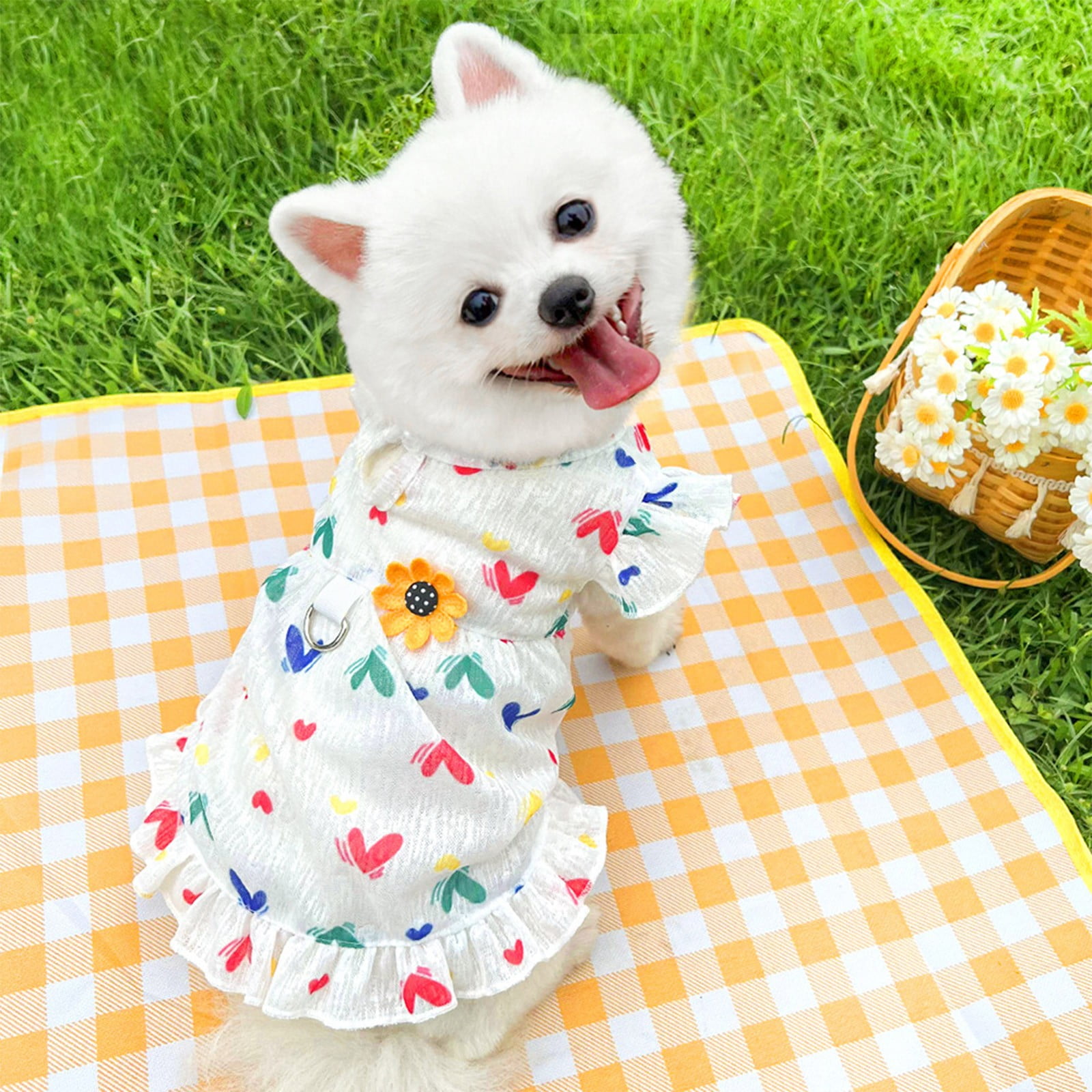 JingChun Small Dress Summer Pet Clothes for Small ss Girl Cute Floral ...