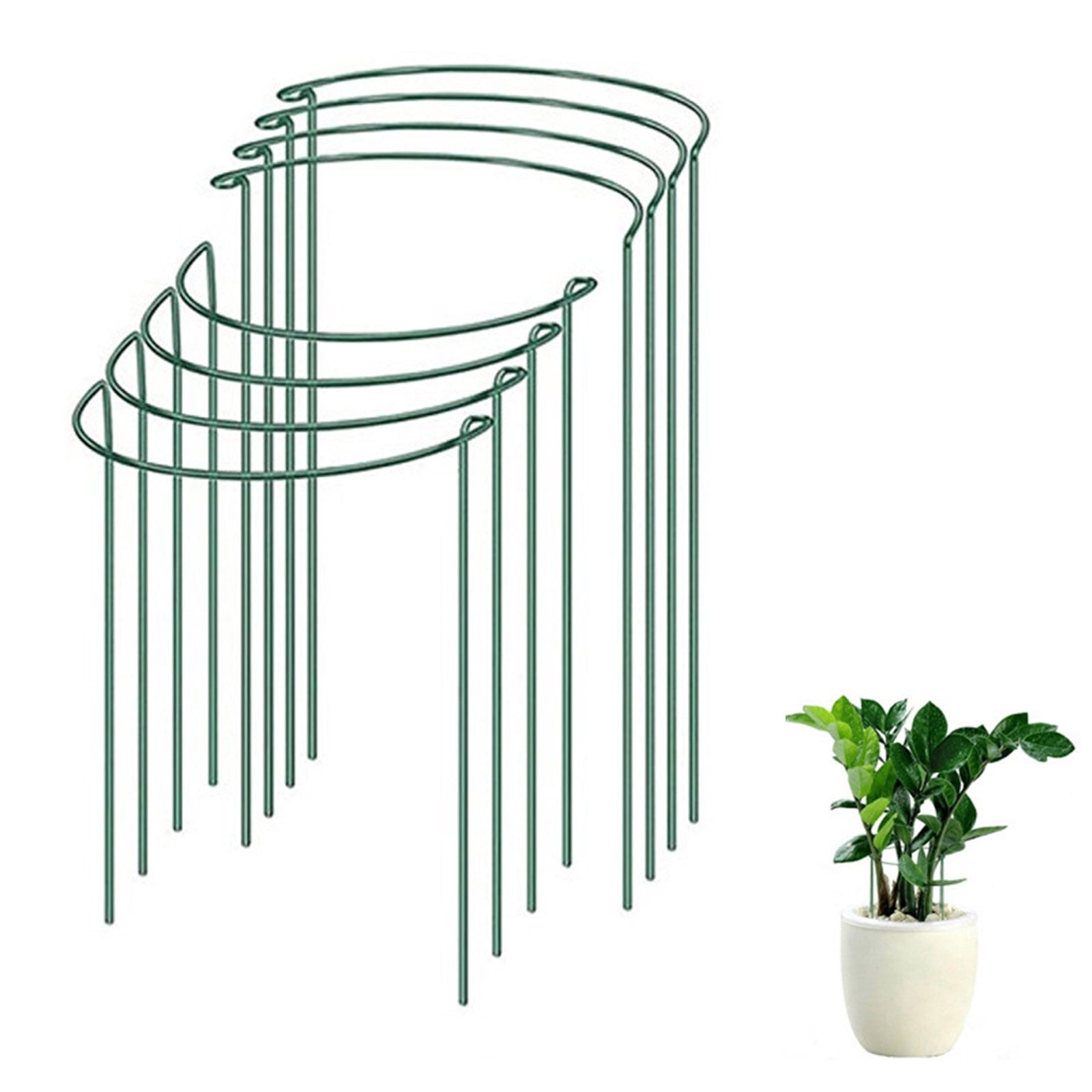 Jingjianm Heavy-Duty Half Round Plant Support Stakes, 15.7 Inch Tall ...