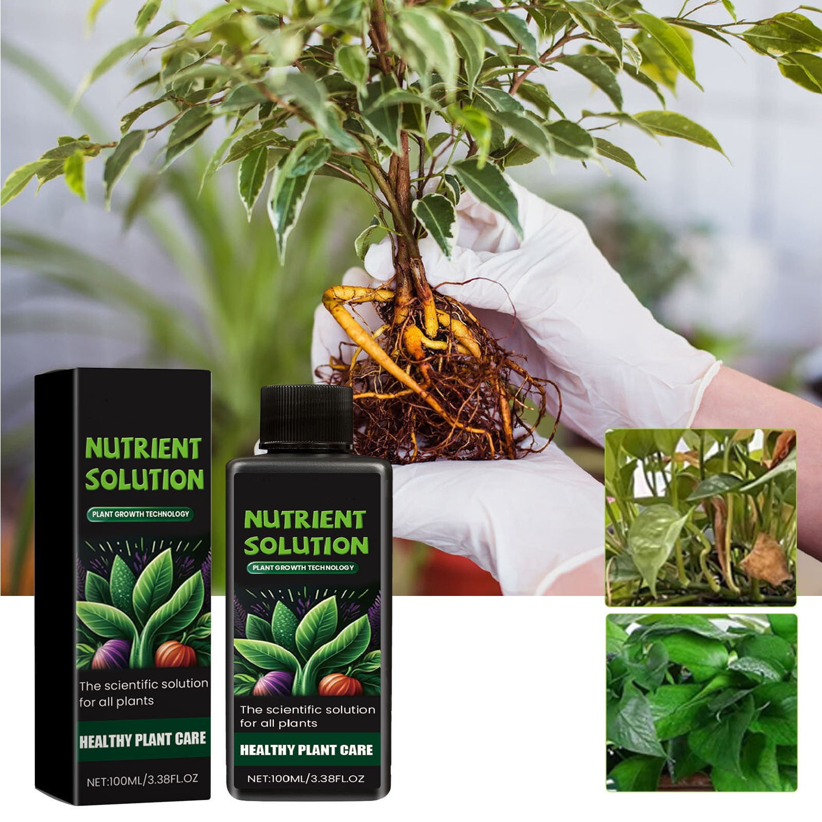 Jingjianm Premium Plant Nutrient Solution for All Plants Advanced ...