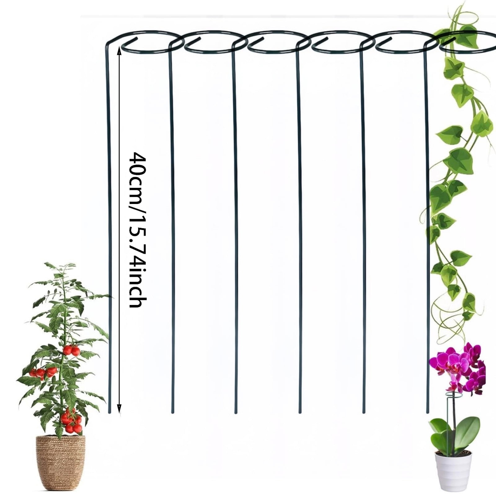 Jingjianm Set of 6 Heavy Duty Metal Garden Stakes for Plant Support, 36 ...