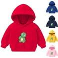 Jinhomg Boys Girls Long Sleeve Sweatshirt Toddler Kids Cute Dinosaur ...