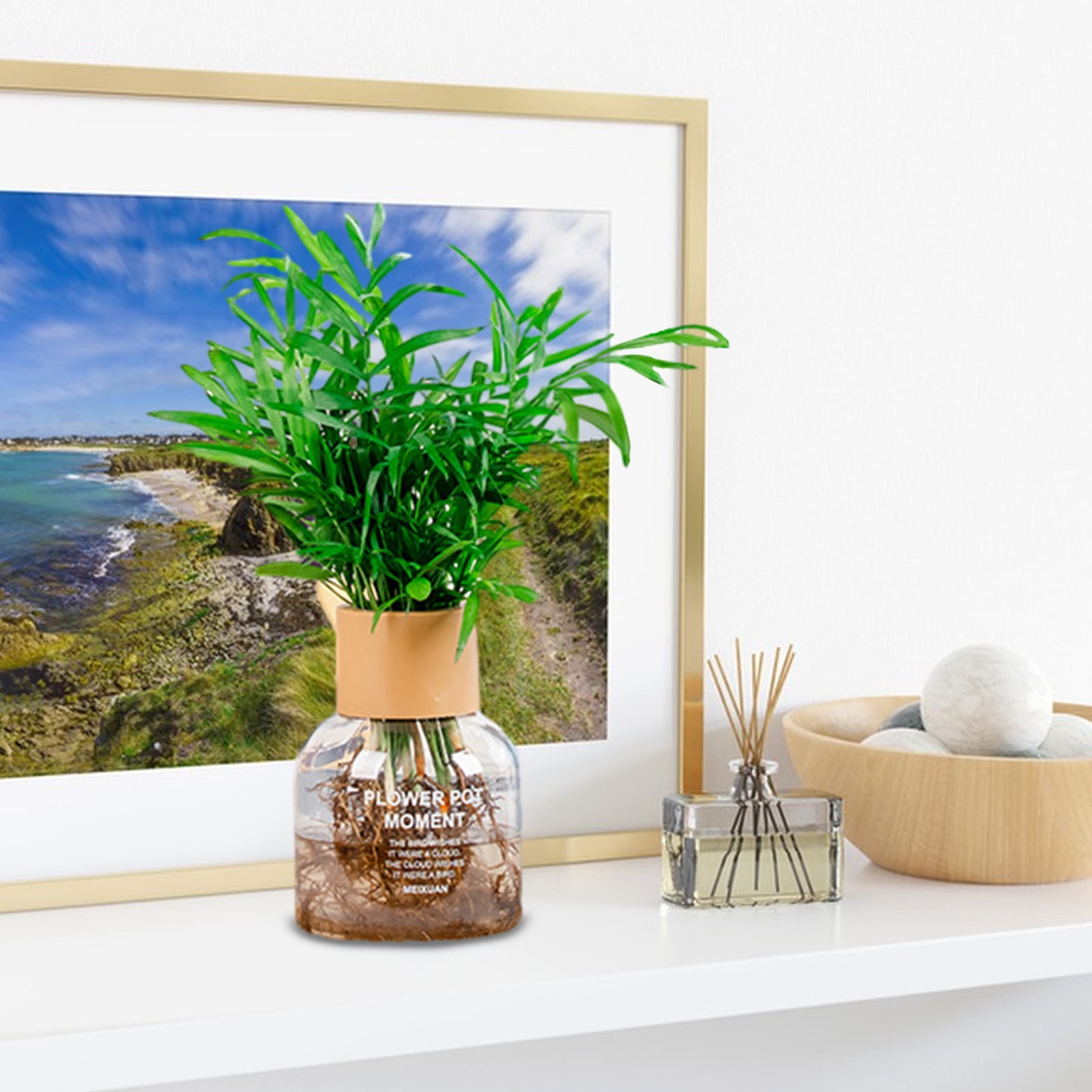 Jioakfa Home Decor Transparent Hydroponic Small Potted Plant Pots ...