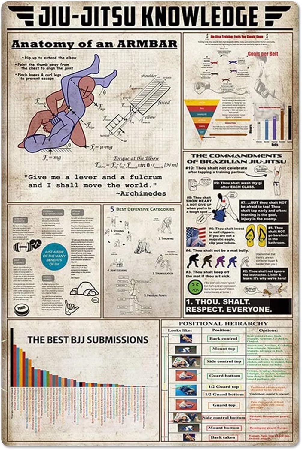 Jiu- Jitsu Knowledge Metal Signs Vintage Martial Arts Hall Wall Decor Anatomy Of An Armbar Tin ...