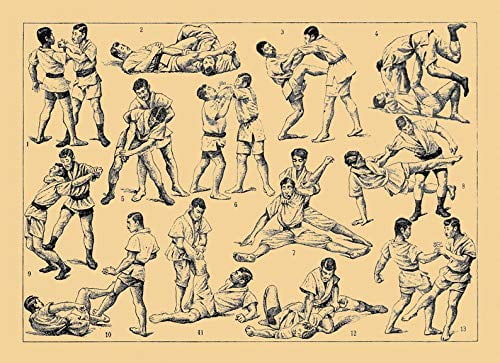 Jiu Jitsu Poster Jiujitsu Techniques Print Fighting Styles Diagram ...