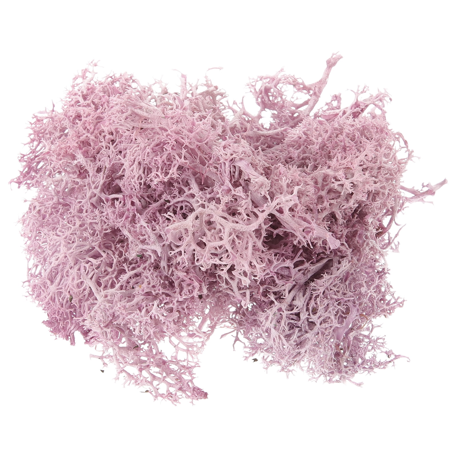 Purple Artificial Moss for Crafts and Decor Lightweight Portable for ...
