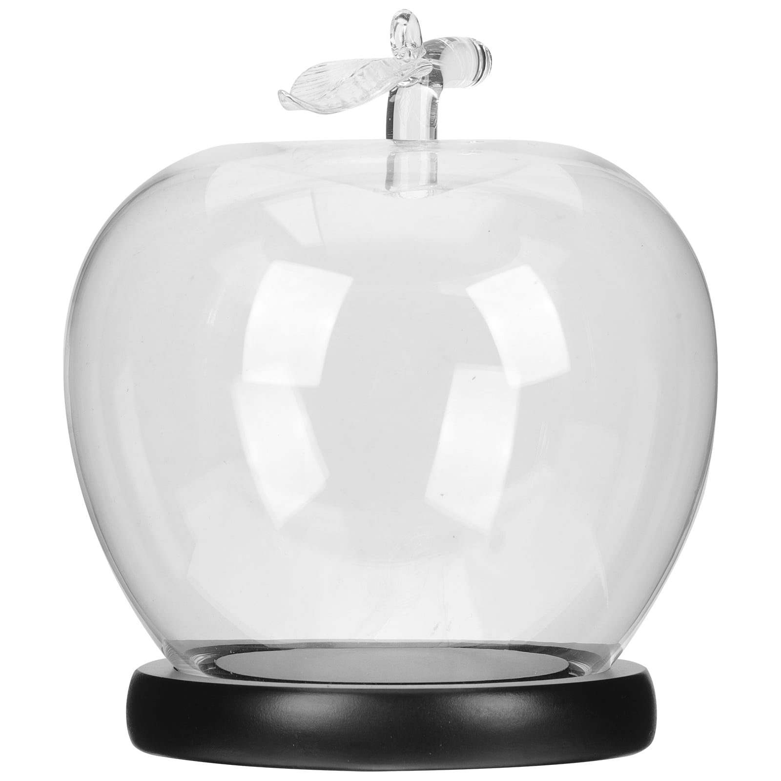 Jiyike Transparent Glass Cover Eternal Flower Cover Preserved Flower ...