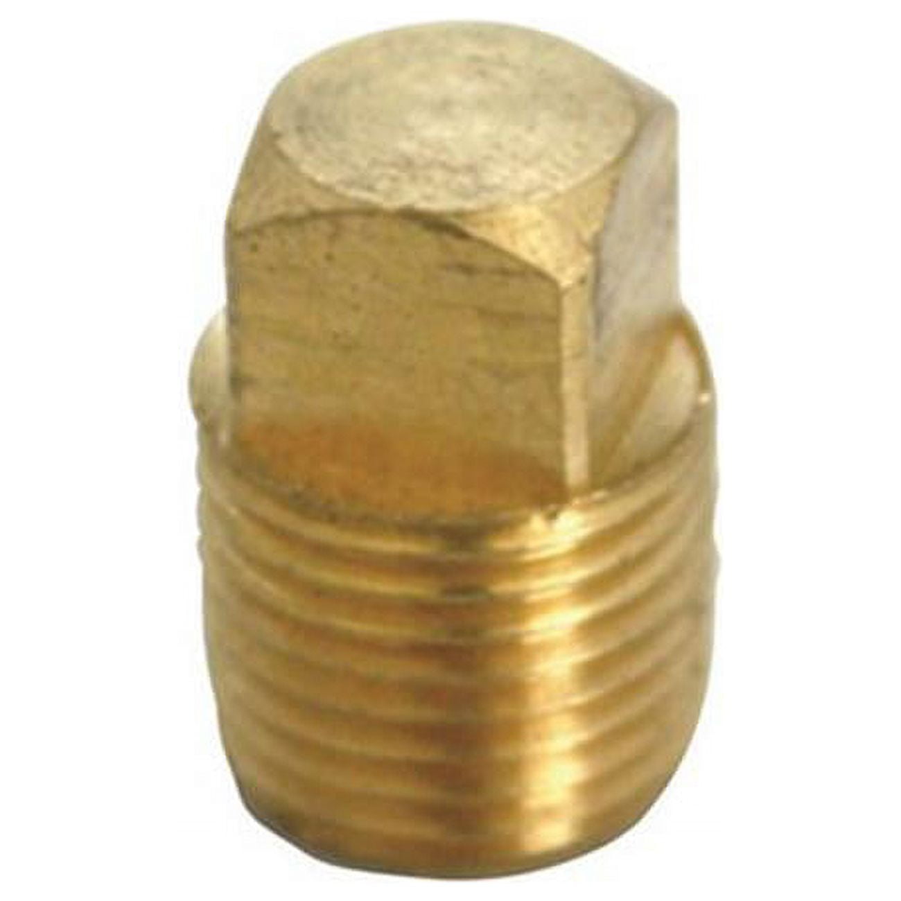 CORED PLUG SQHD1/8"" LF (Pack of 10) - Walmart.com