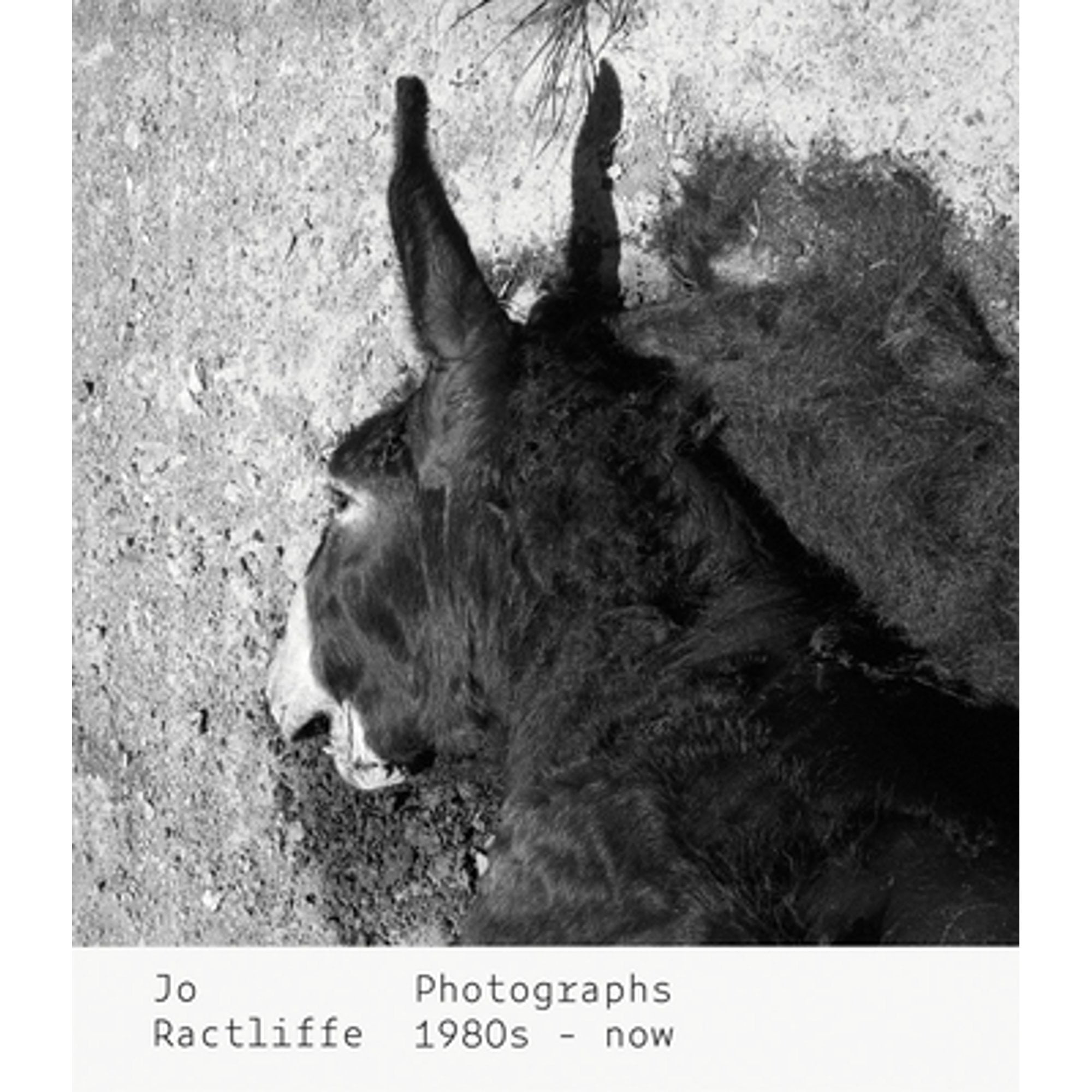 Pre-Owned Jo Ractliffe: Photographs 1980s-Now (Hardcover 9783958296985 ...