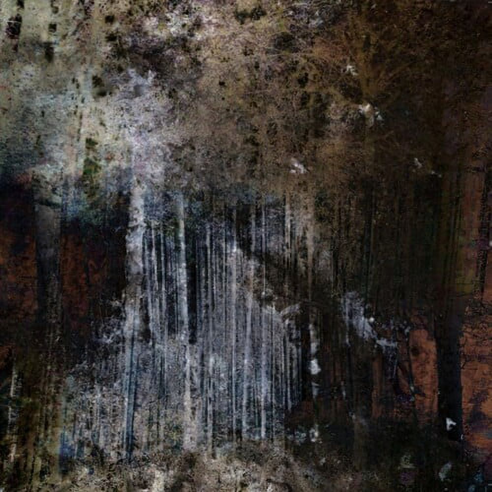 Joachim Spieth - Terrain - Music & Performance - Vinyl - Walmart.com