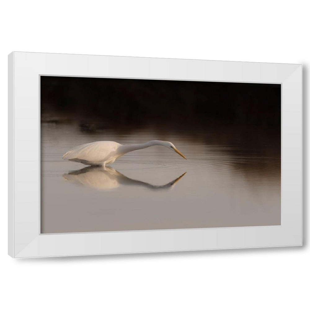 Joaquin Forner Rodriguez 4x14 White Modern Wood Framed Wall Art Titled ...