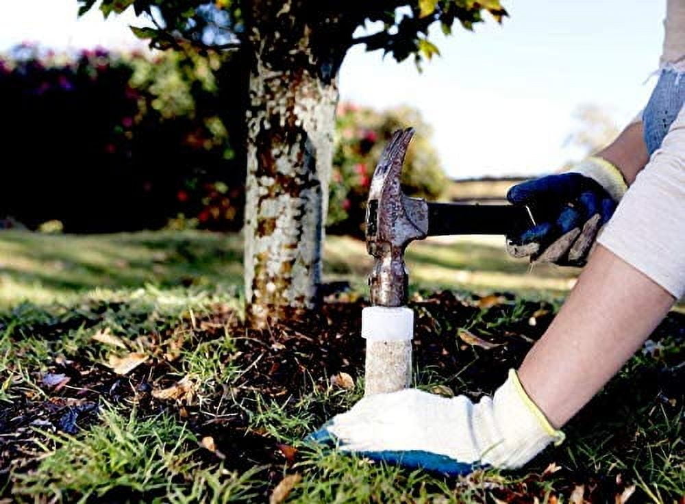 Jobe's 01661 Evergreen Fertilizer Spikes, 15, Brown - 1 Pack ...