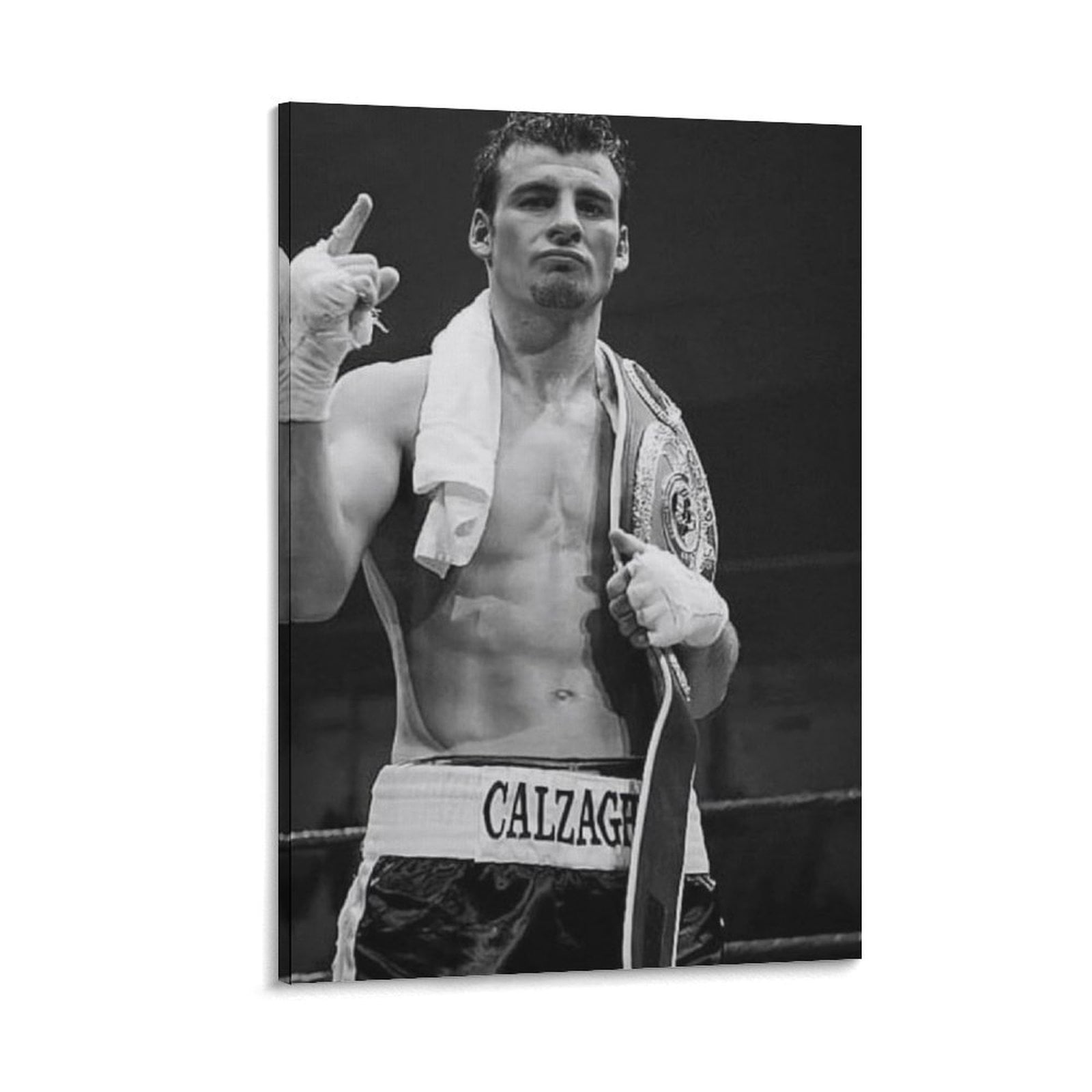 Joe Calzaghe Canvas Poster Poster Cool Artworks Painting Wall Art ...