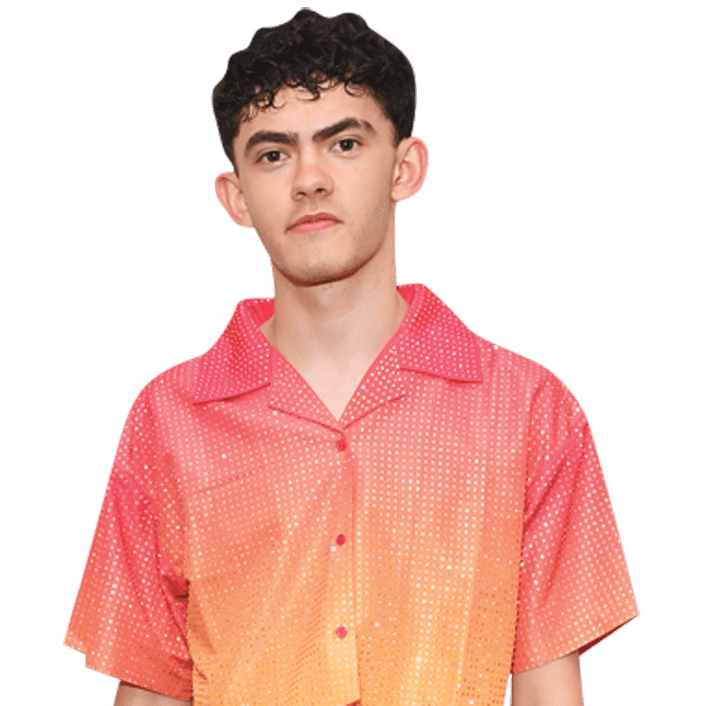 Joe Locke (Jeans) Half Body Buddy Cutout - Walmart.com