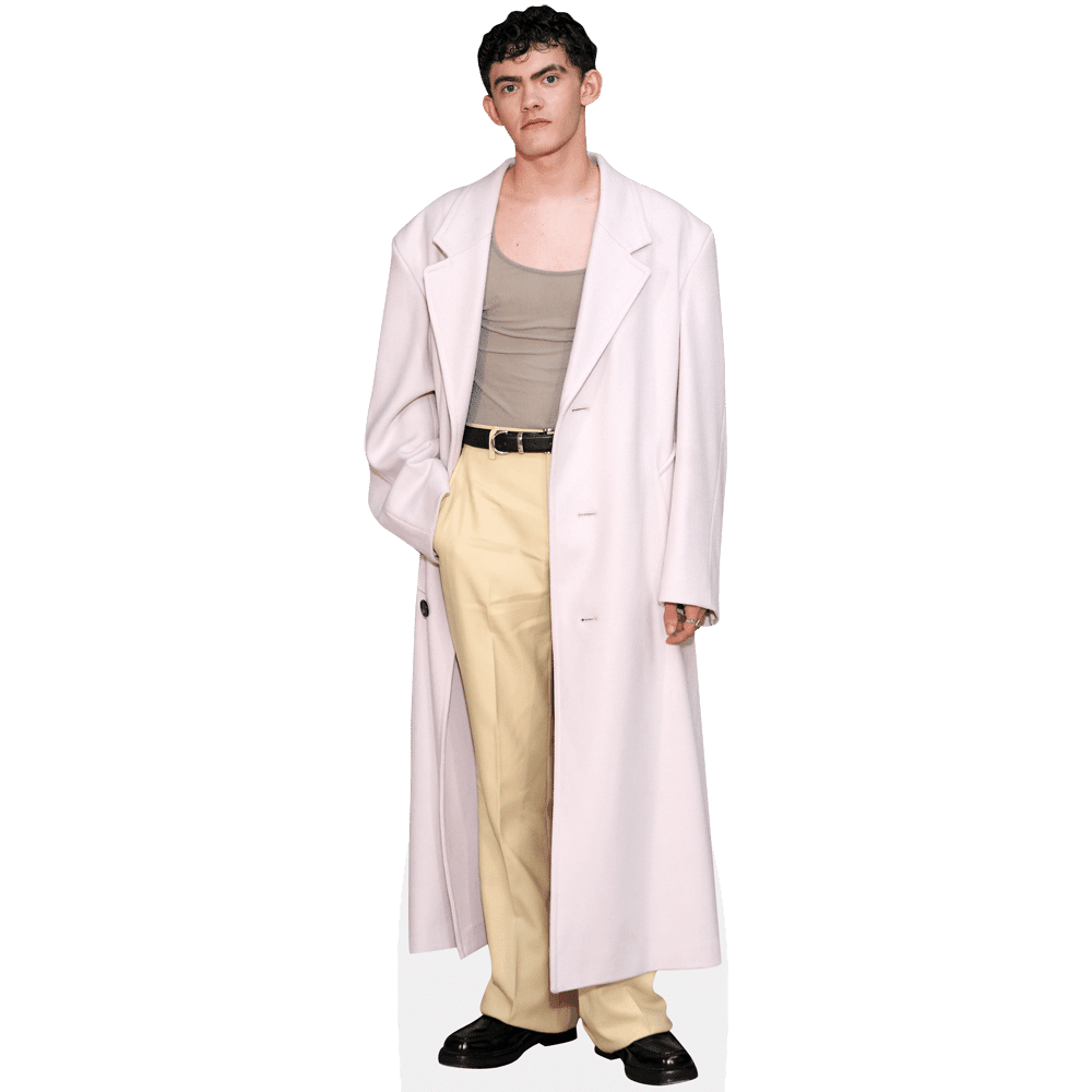 Joe Locke (Pink Coat) Lifesize Cardboard Cutout Standee - Walmart.com