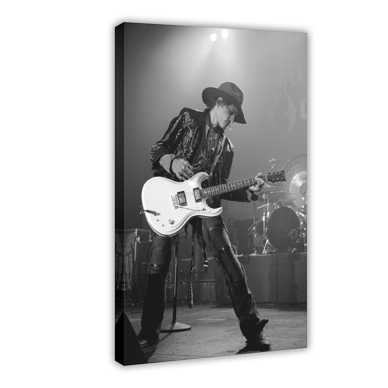 Joe Perry Live Rock Canvas Decoration Posters - Walmart.com