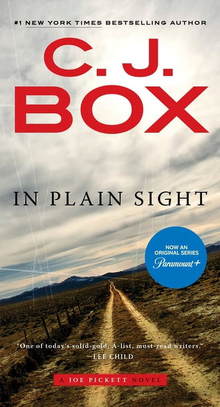 In Plain Sight - Walmart.com