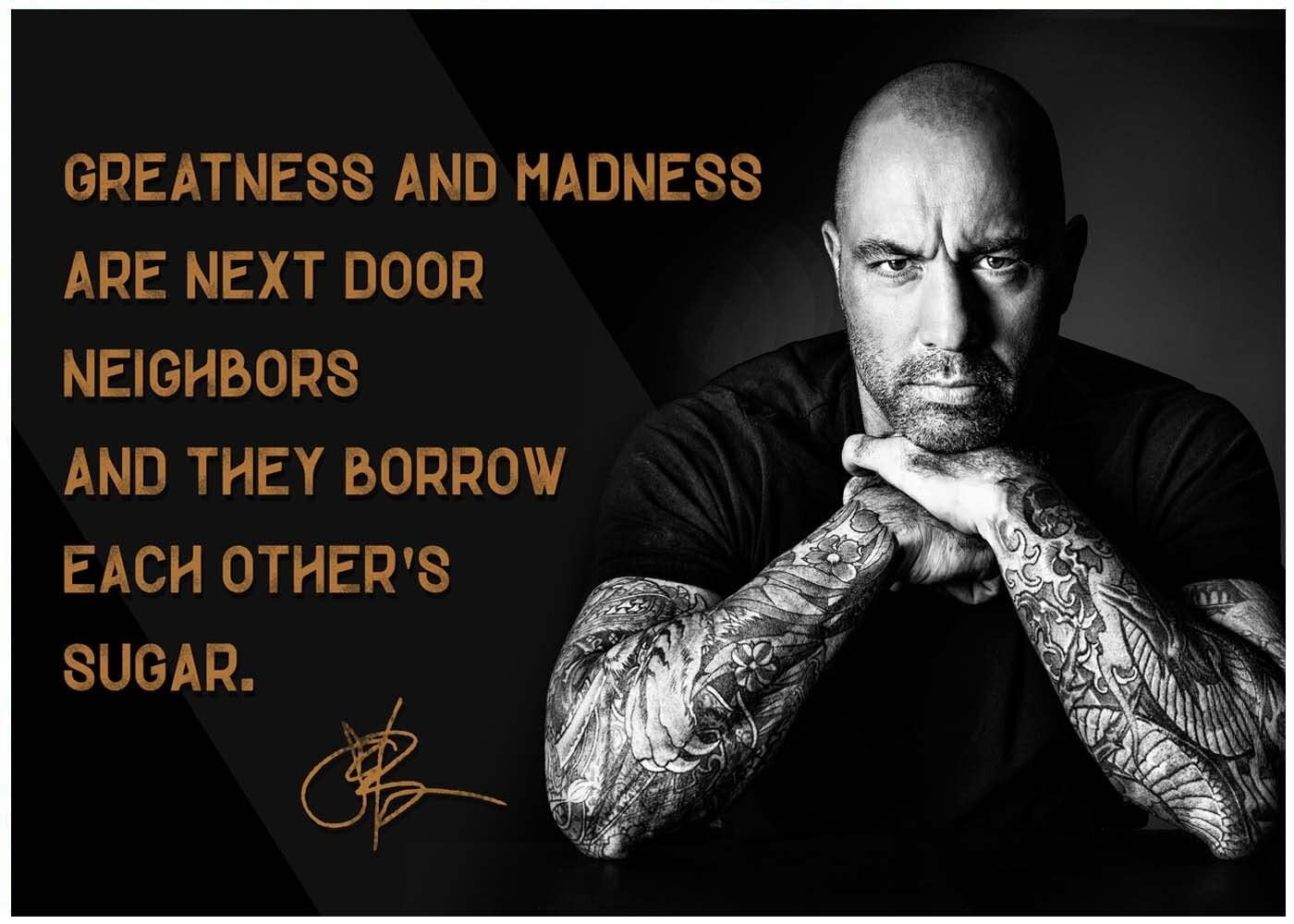Joe Rogan Experience Motivational Poster Quote Inspirational Posters ...
