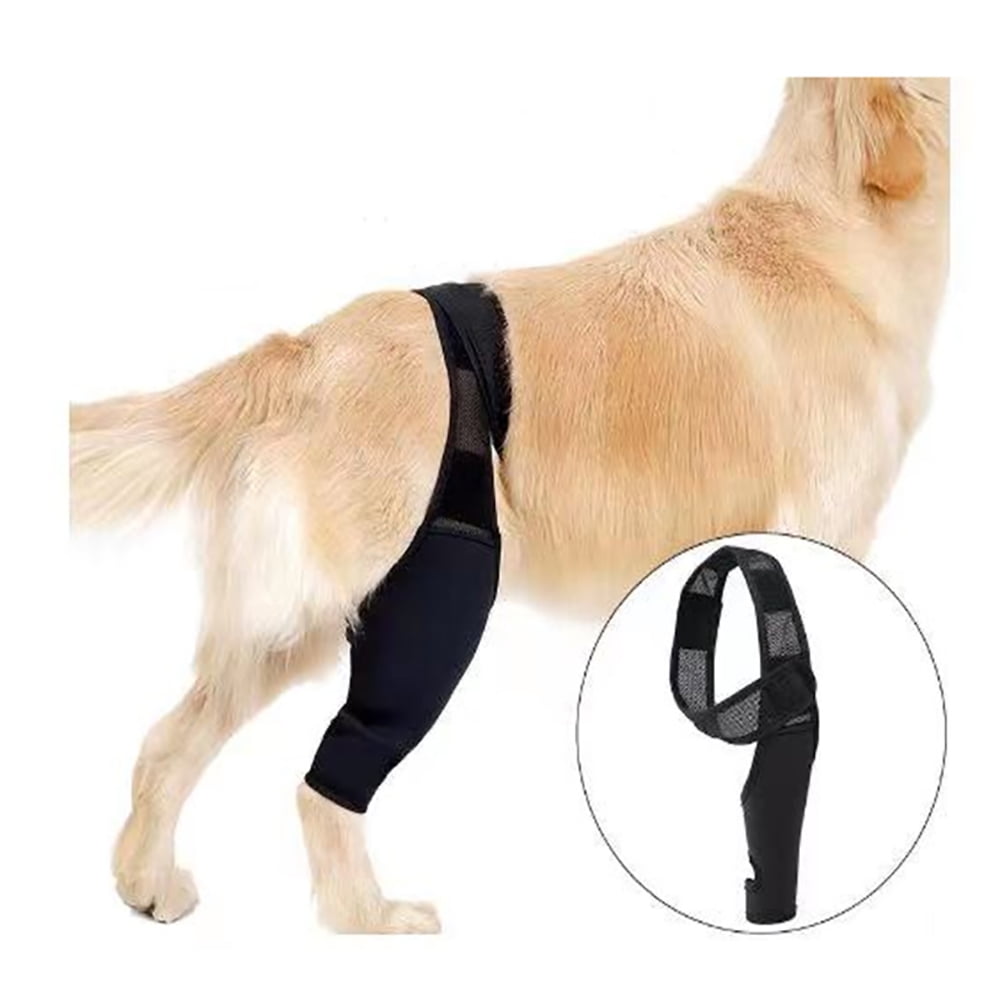 Joefnel Dogs Joint Health For Dogs Dog Knee Brace Dog Leg Brace For ...