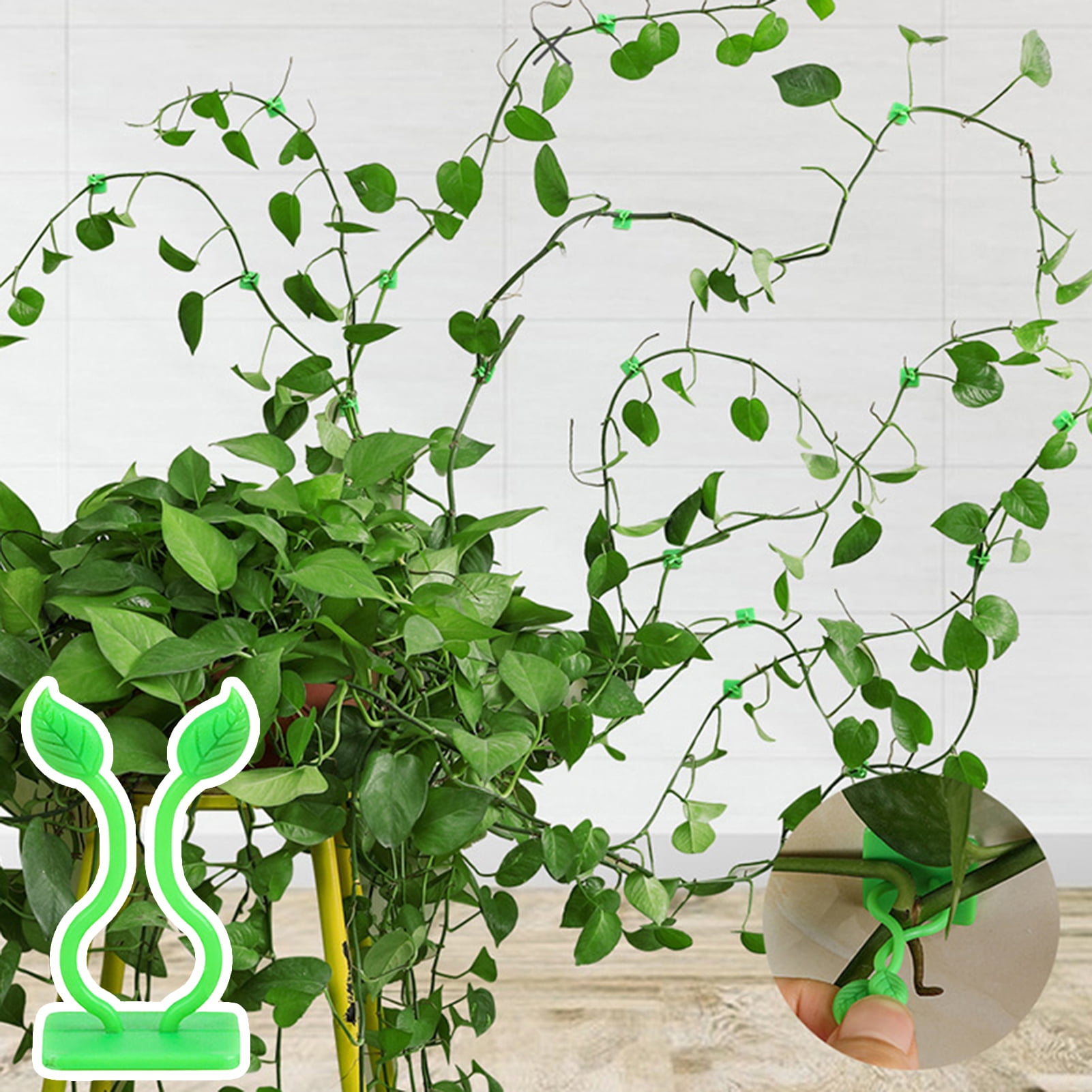 Joernso 100Pcs Green Plant Clips Sturdy Support Self-adhesive Vines ...