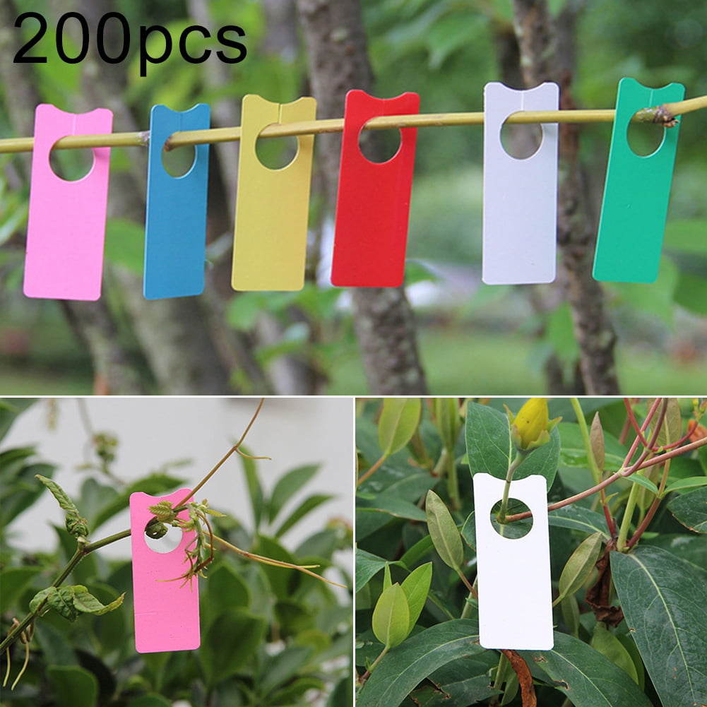 Joernso 200Pcs Grape Labels Melon Fruit Tags Sign Orchard Plant Marker ...