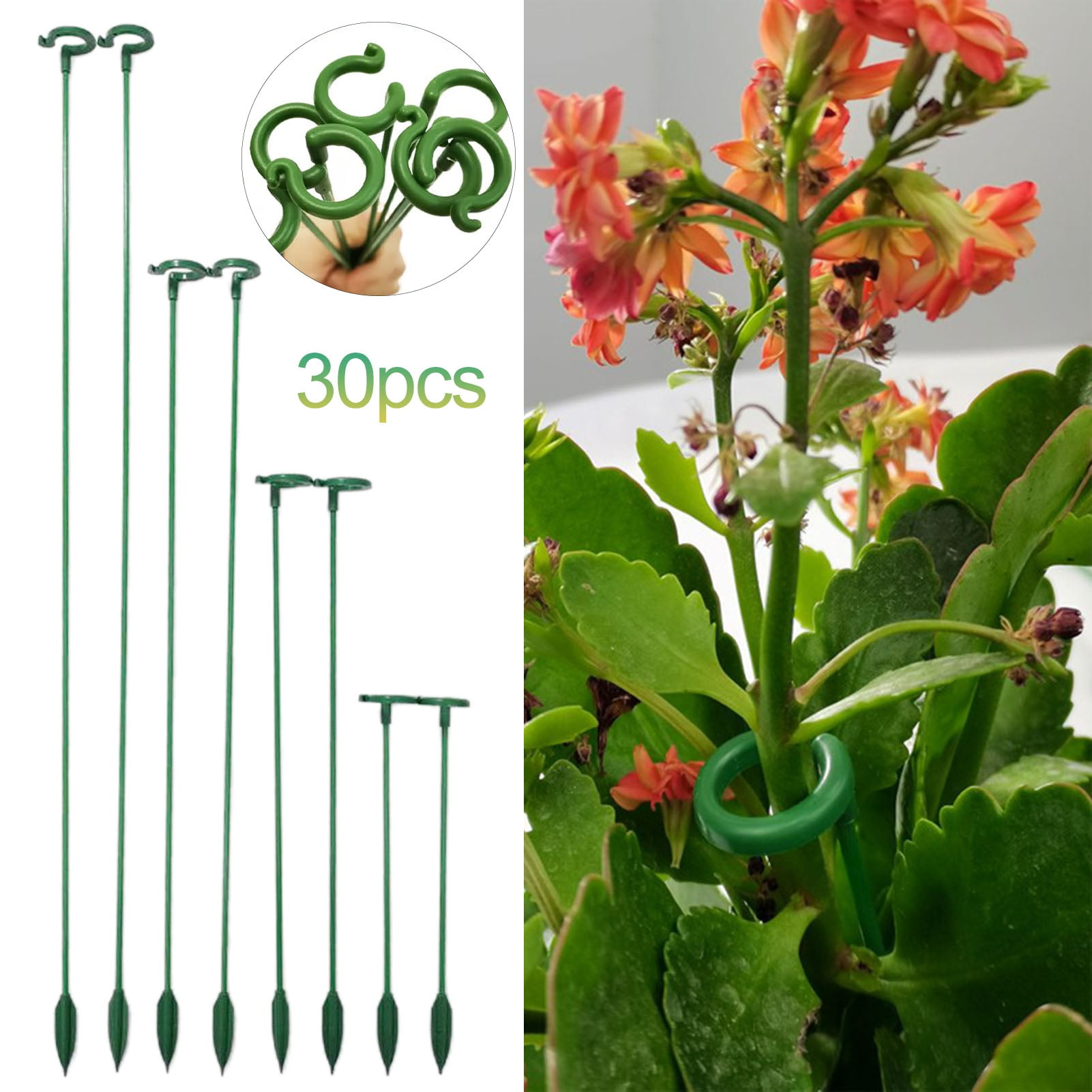 Joernso 30Pcs Plant Support Stakes Single Plant Stem Flower Support Rod ...