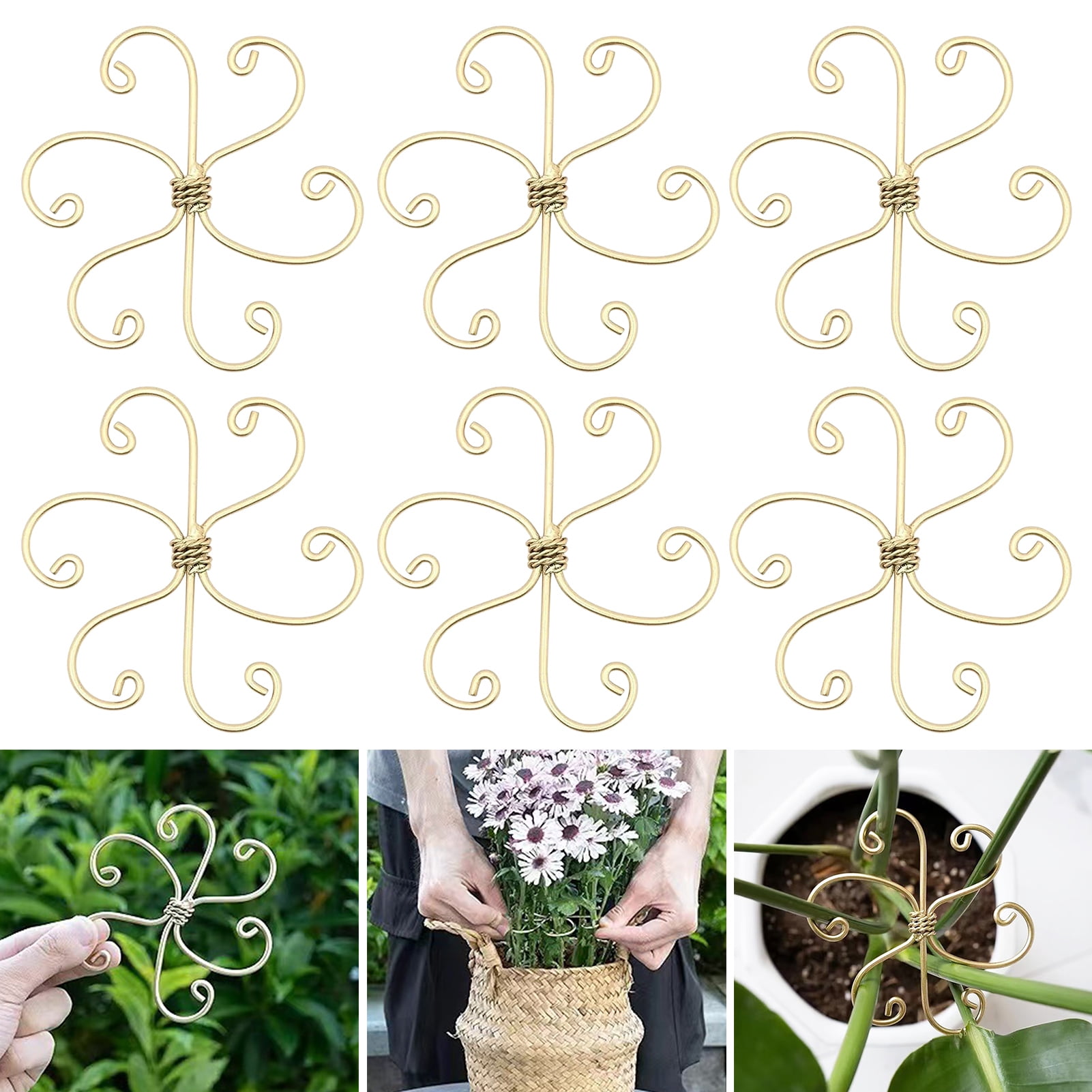 Joernso 6 Pcs Plant Stem Holders Metal Monstera Plant Support Universal ...