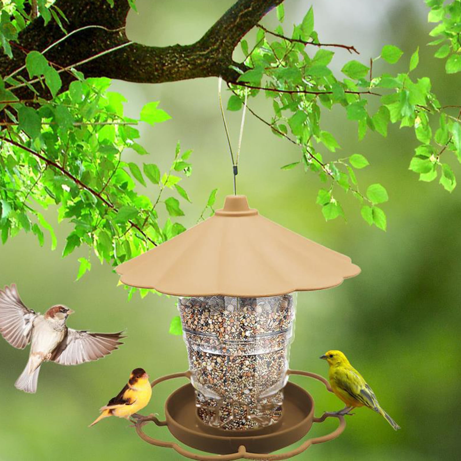 Joernso Bird Feeder Collapsible Wide Application Plastic Visible Mini ...