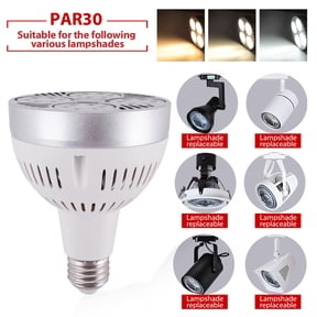 Par30 Bulbs