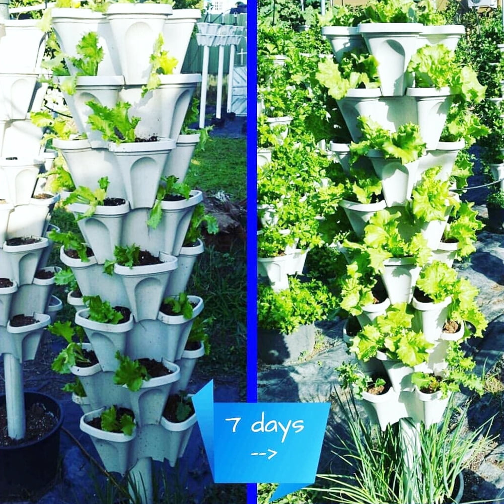 Joernso Plastic Stackable Vertical Flower Plant Pot Holder Garden ...