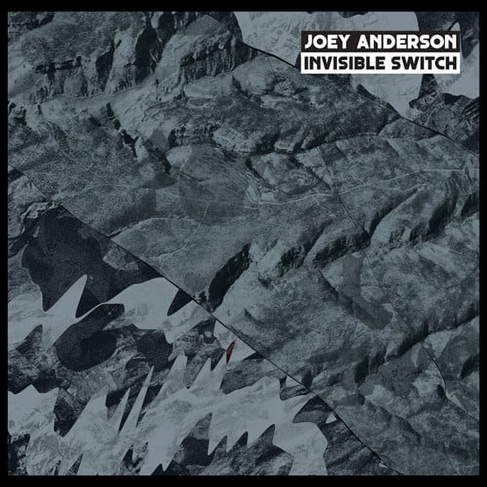 Joey Anderson - Invisible Switch - Music & Performance - Vinyl ...