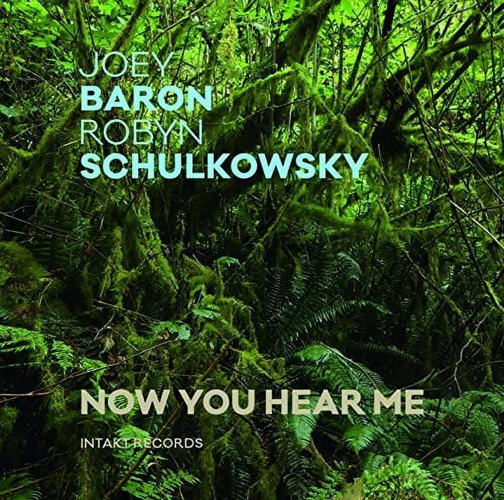 Joey Baron - Now You Hear Me - Music & Performance - CD - Walmart.com