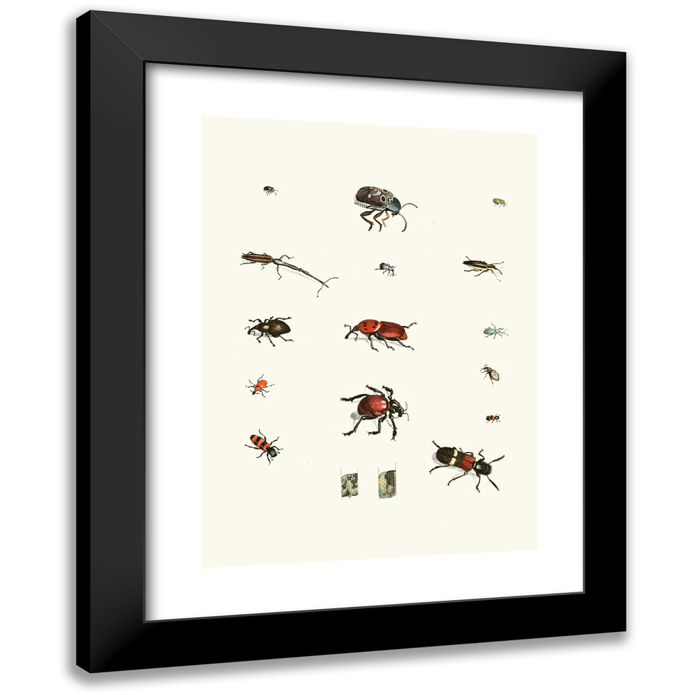Johann Heinrich Sulzer 11x14 Black Modern Framed Museum Art Print ...