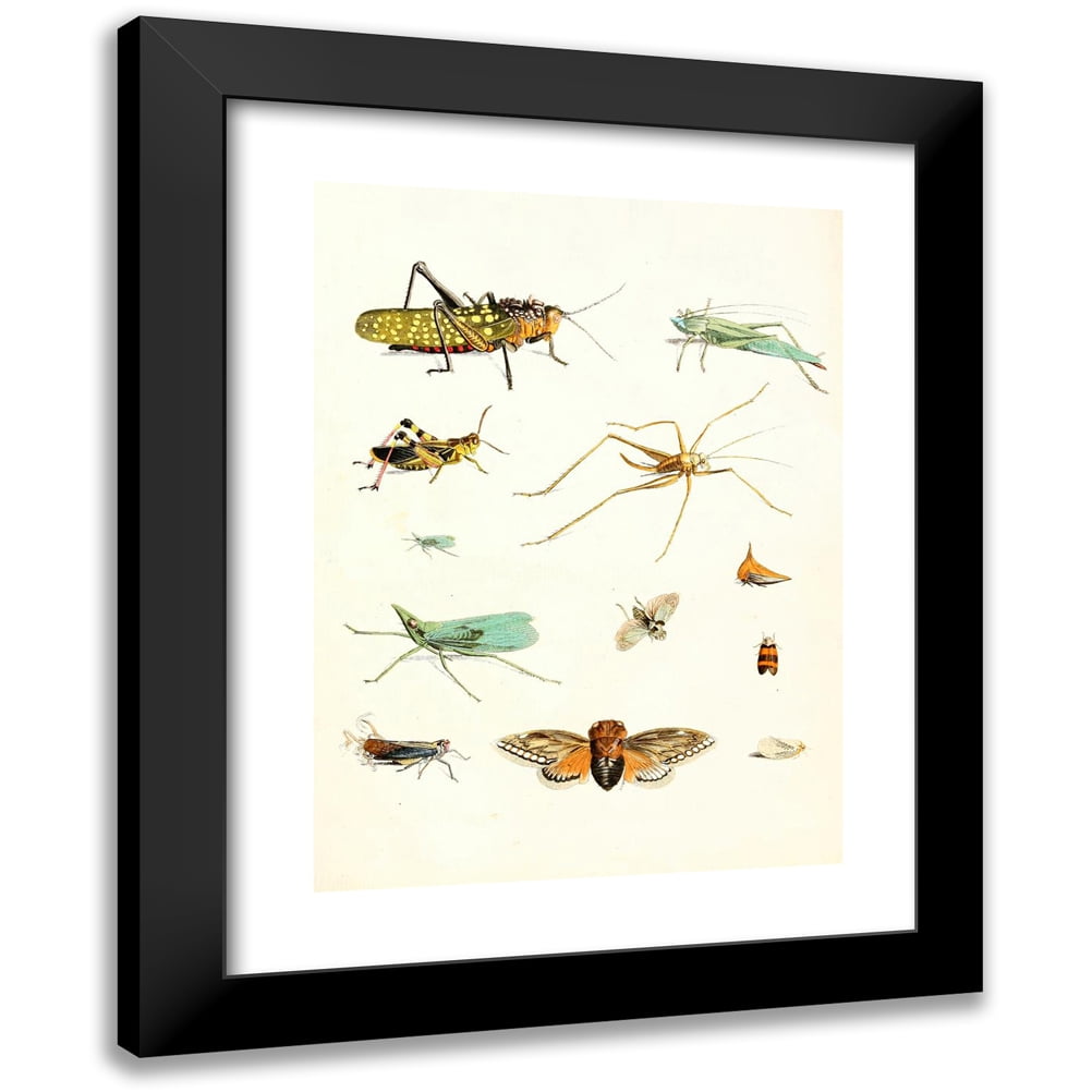 Johann Heinrich Sulzer 11x14 Black Modern Framed Museum Art Print ...