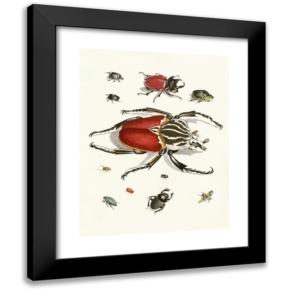 Johann Heinrich Sulzer 12x14 Black Modern Framed Museum Art Print ...